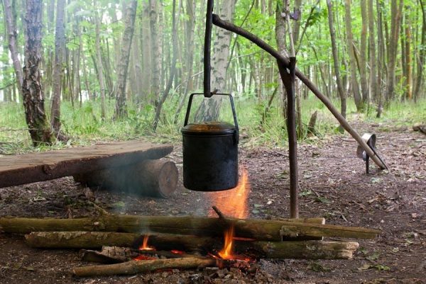 Zebra Handle Pot 16cm – WeyFarm Outdoors